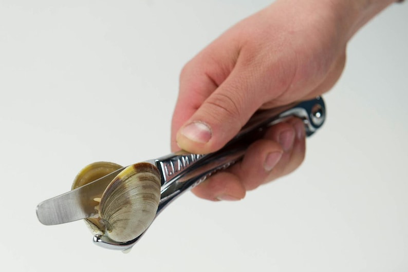 Clam Ram Clam Opener : Open Clams the EASY Way for Fresh Seafood Lovers ...
