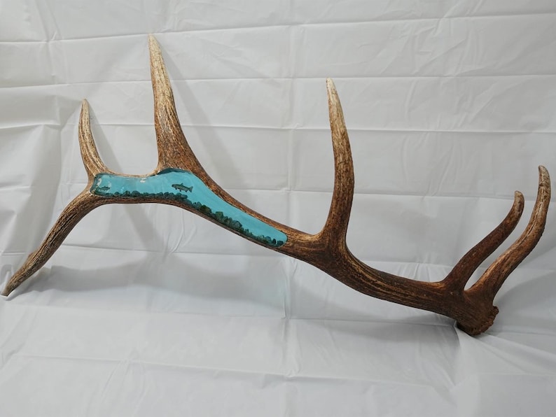Elk Antler With Epoxy Resin Trout Inlay MADE TO ORDER - Etsy