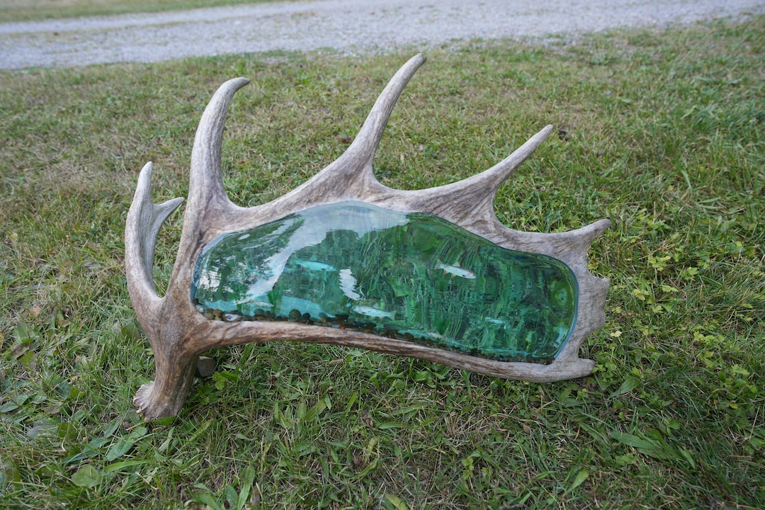 Montana Moose Antler With Epoxy Resin Trout Inlay - Etsy