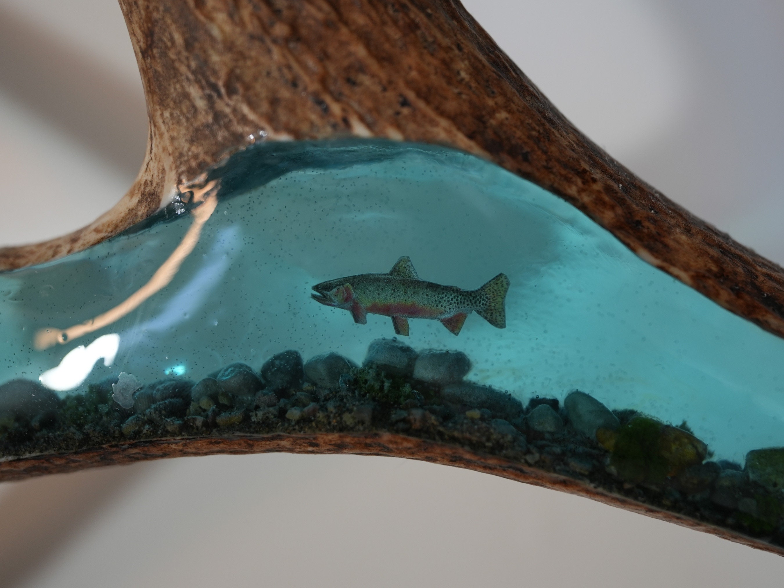 Elk Antler With Epoxy Resin Trout Inlay MADE TO ORDER - Etsy