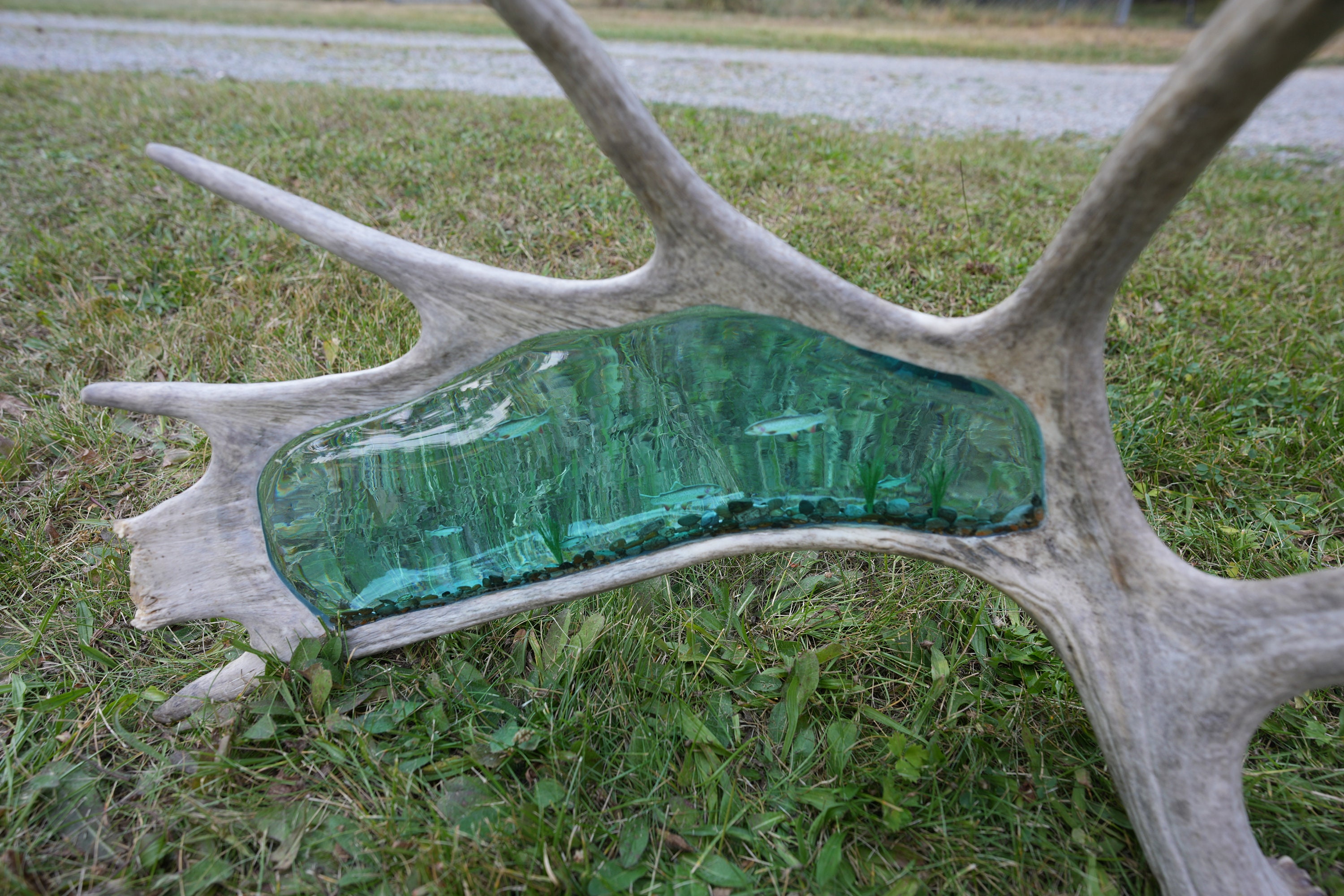 Moose Antler With Epoxy Resin Trout Scene *MADE TO ORDER * - Etsy