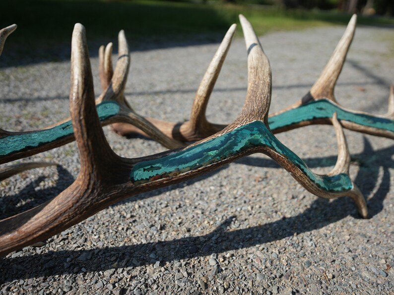 Elk Antler With Epoxy Resin Trout Inlay MADE TO ORDER - Etsy