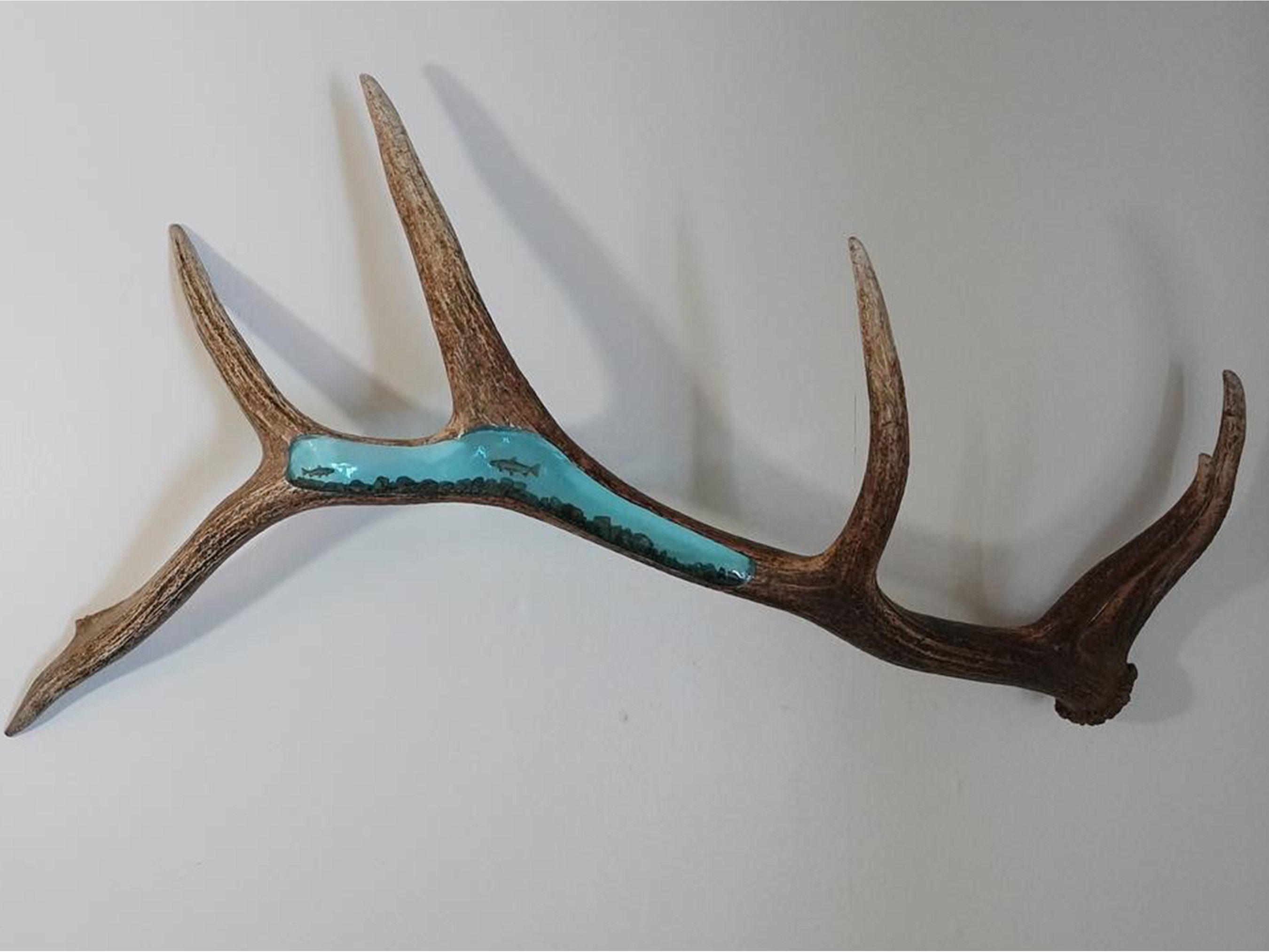 Elk Antler With Epoxy Resin Trout Inlay MADE TO ORDER - Etsy
