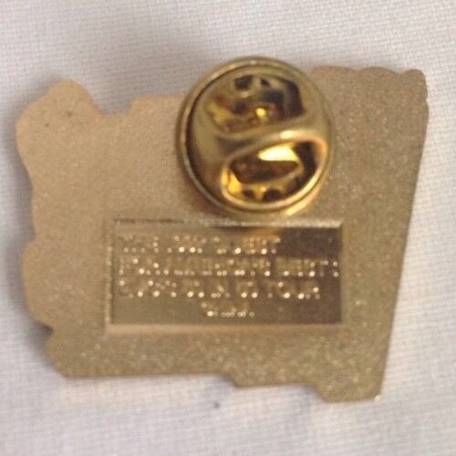 1997 New Mexico QVC 50/50 Lapel Pin Quest for America's Best Goldtone ...