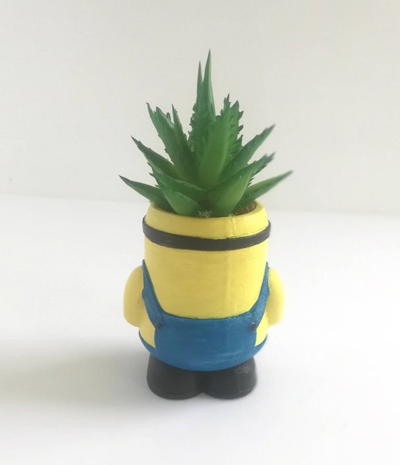 Indoor Planters Minions Despicable Me Inspired Flower Succulent Pot ...