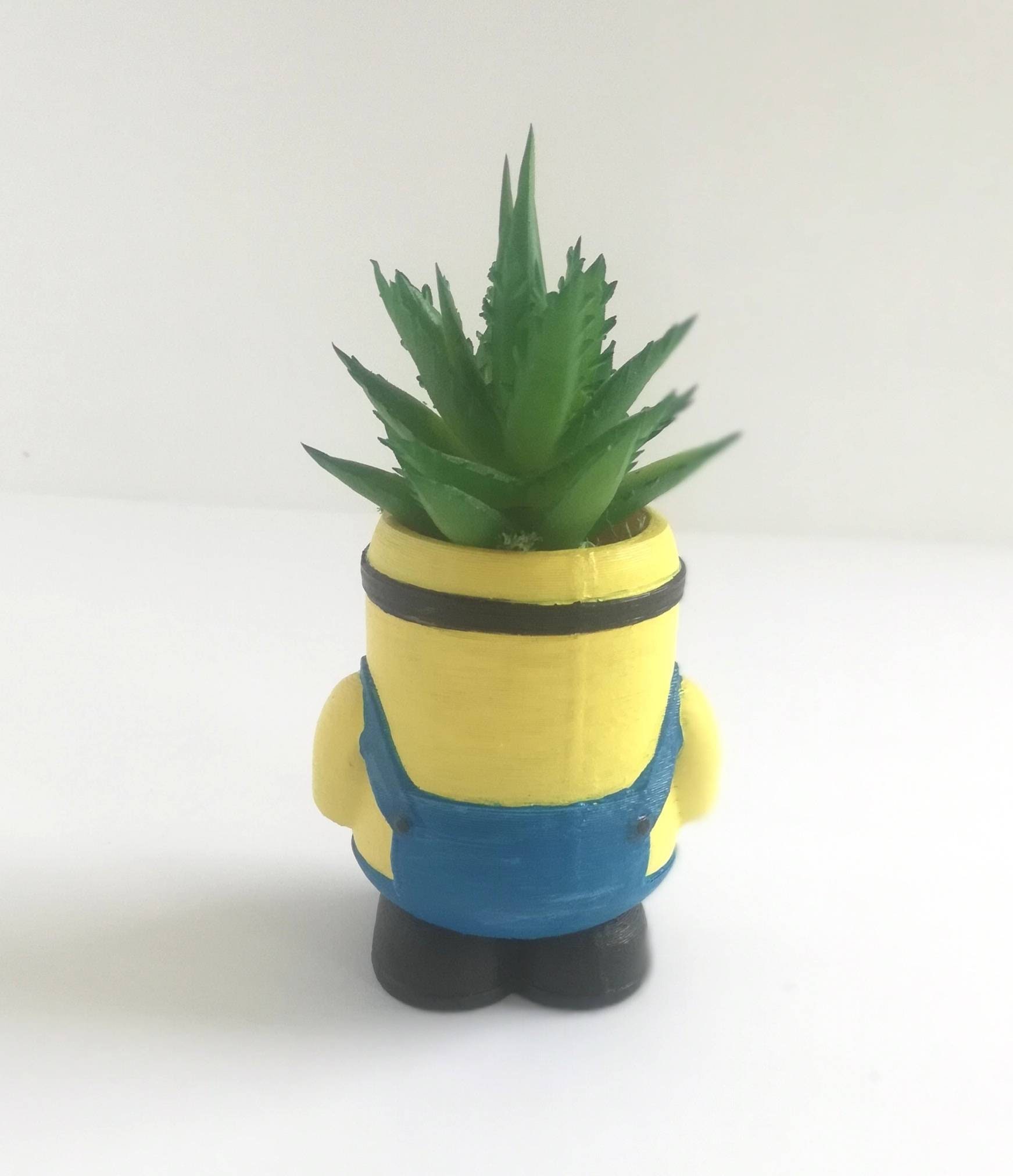 Hand-painted Minion Succulent Planter - Etsy