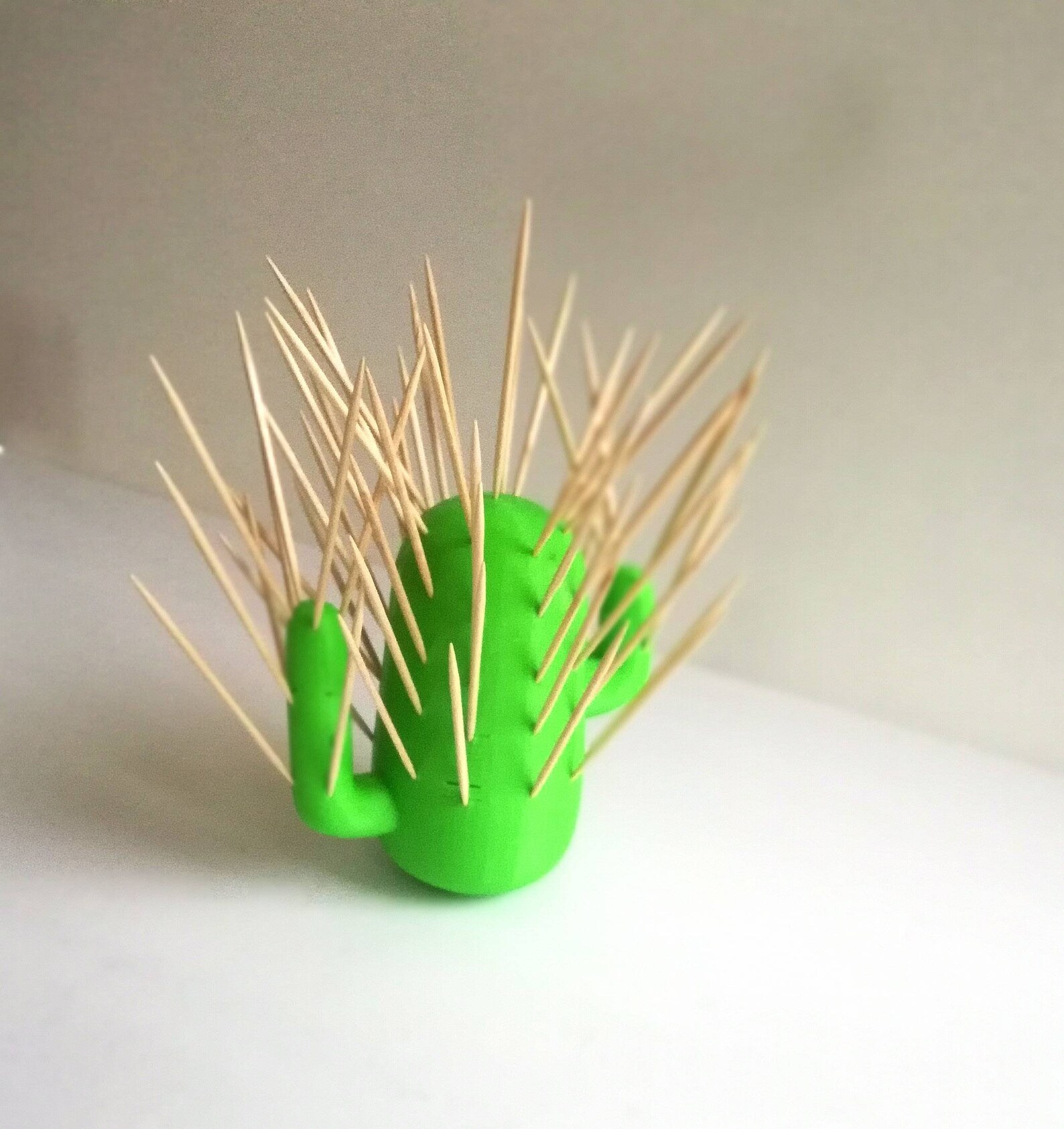 Cactus Toothpick Holder - Etsy