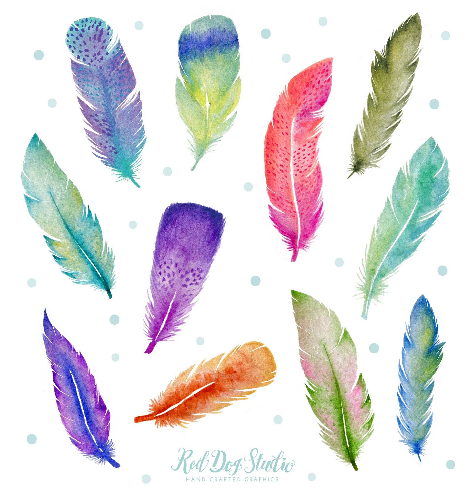 Watercolor Feather Graphics Digital Feather Clipart - Etsy