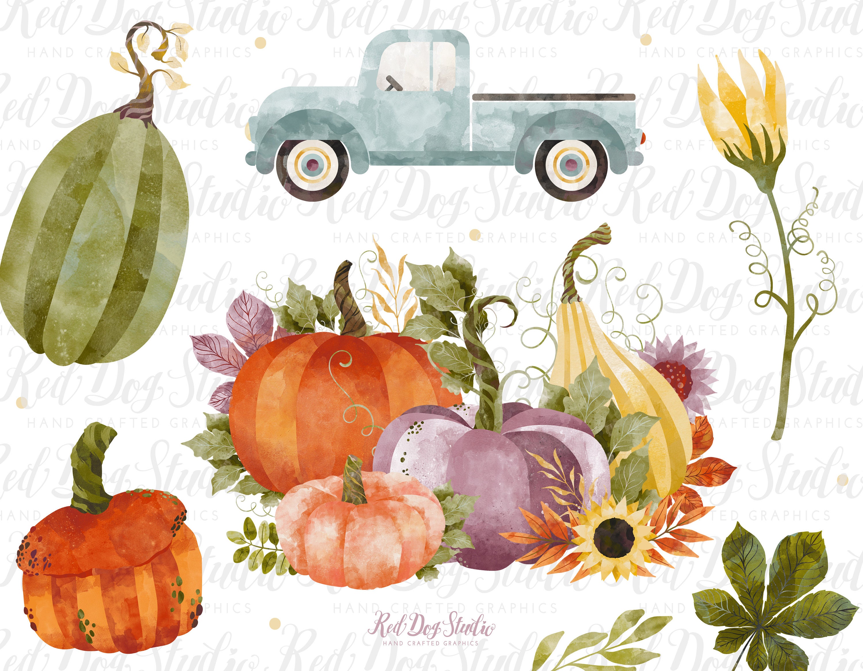 Autumn Harvest Clipart Illustrations Watercolor Pumpkin Clip - Etsy