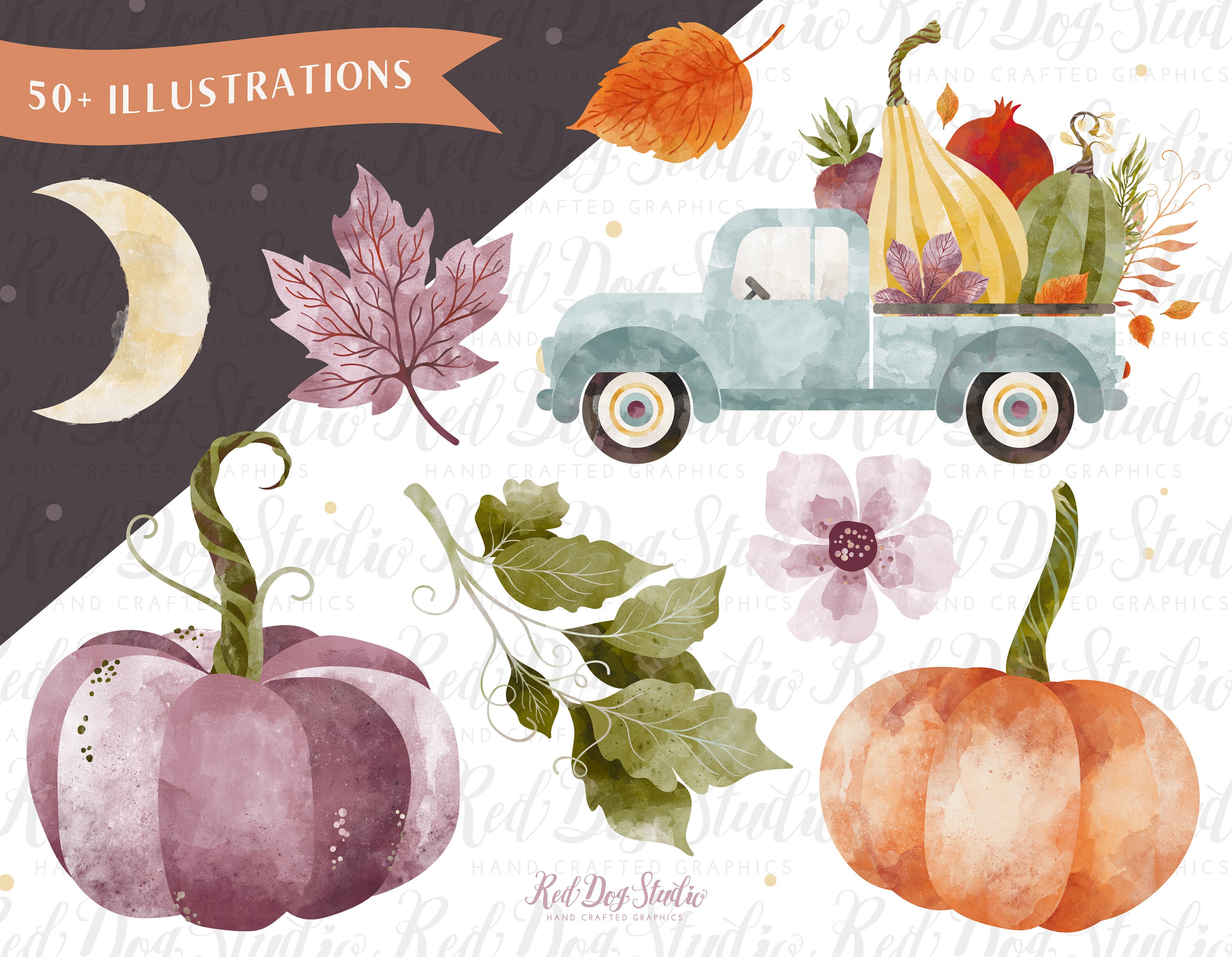 Autumn Harvest Clipart Illustrations Watercolor Pumpkin Clip - Etsy
