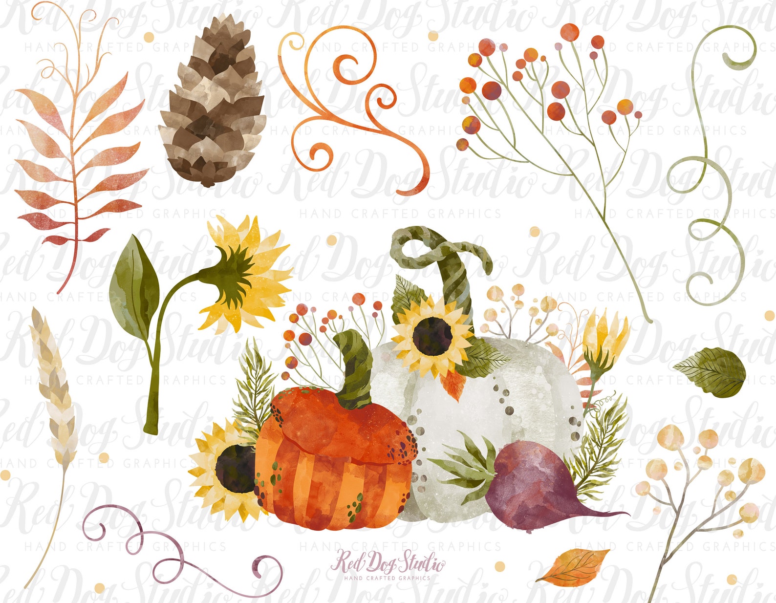 Autumn Harvest Clipart Illustrations Watercolor Pumpkin Clip - Etsy
