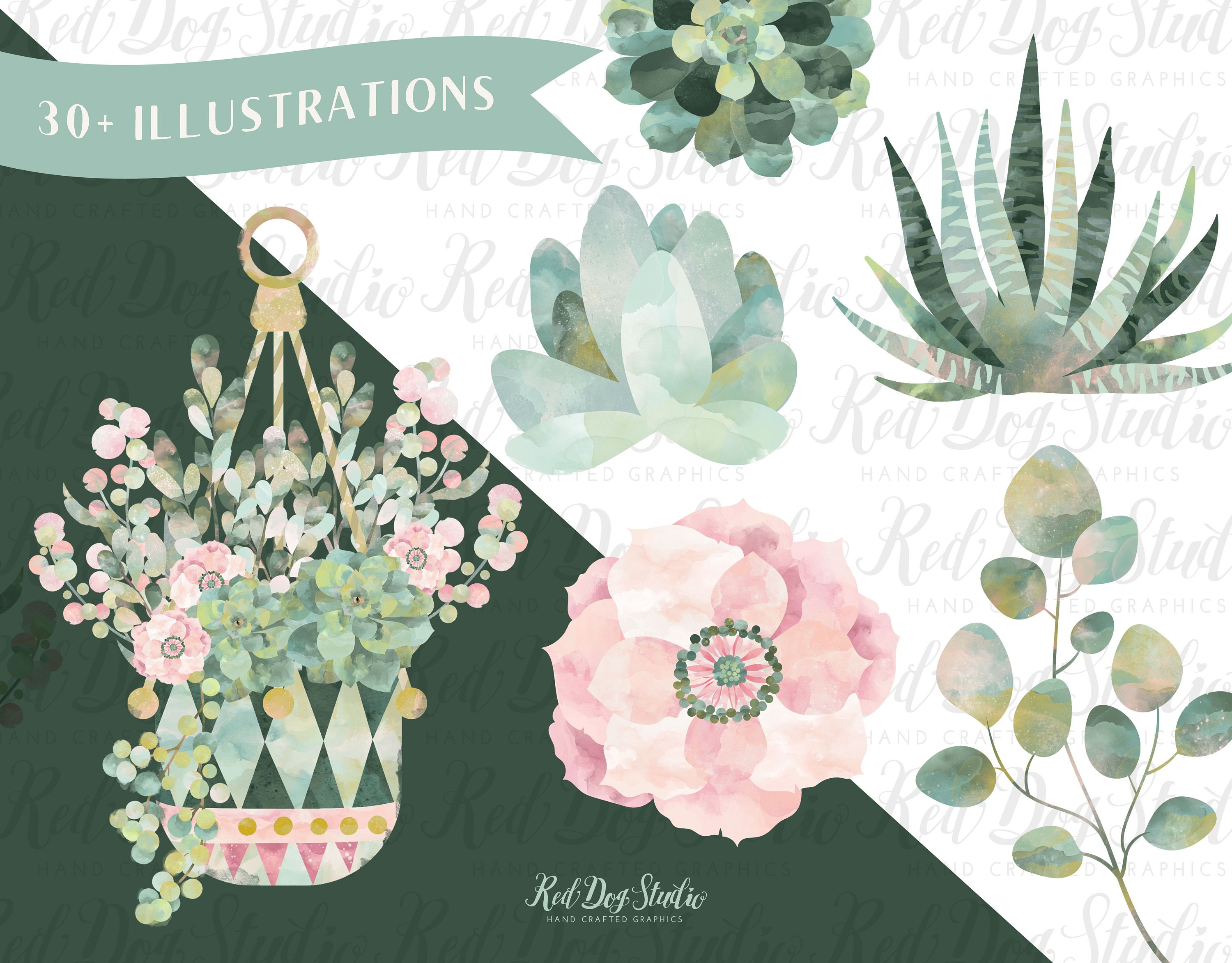 Watercolor Succulent Clip Art Images Cactus Clipart Design | Etsy