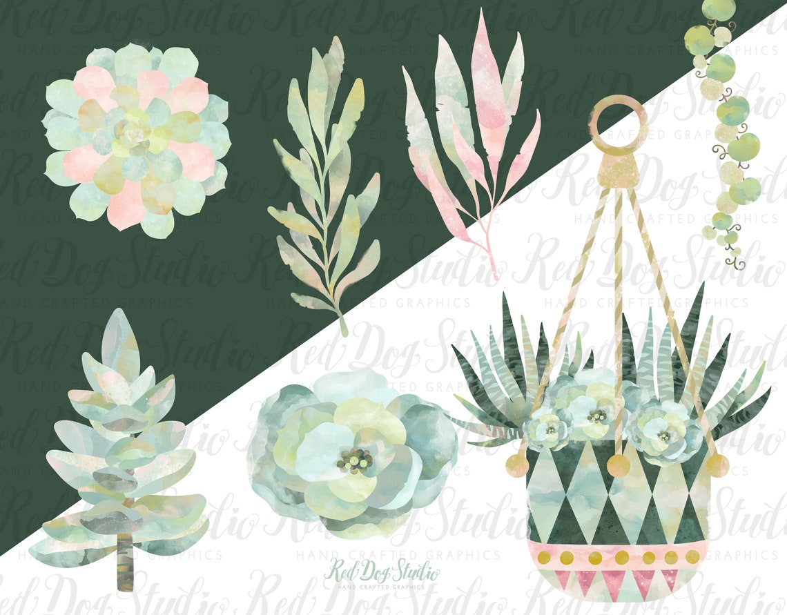 Watercolor Succulent Clip Art Images Cactus Clipart Design - Etsy