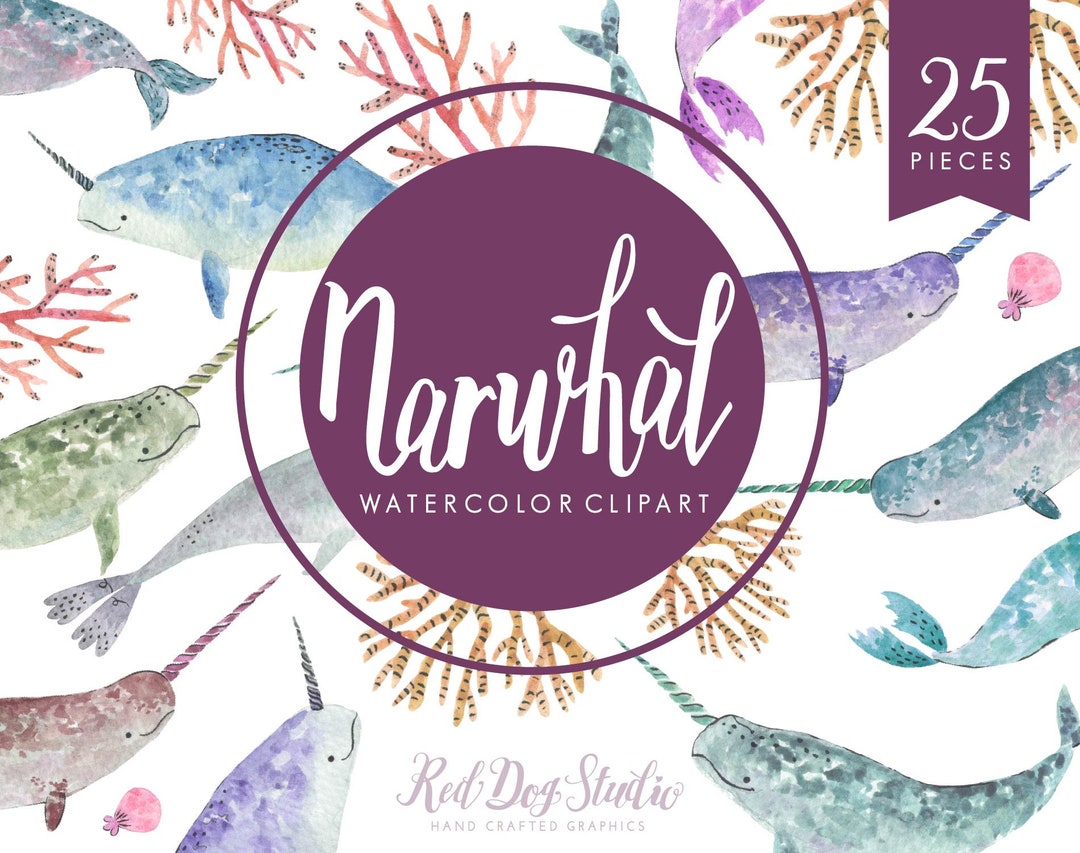 Watercolor Narwhal Clipart Images, Hand Painted Narwhal Art ...