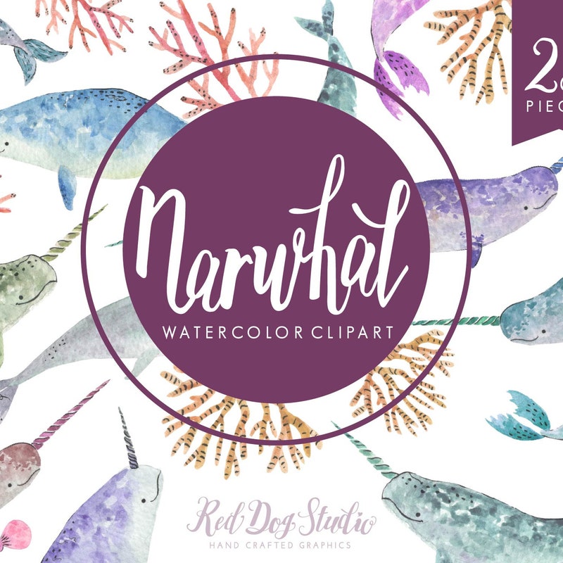 Narwhal Art - Etsy