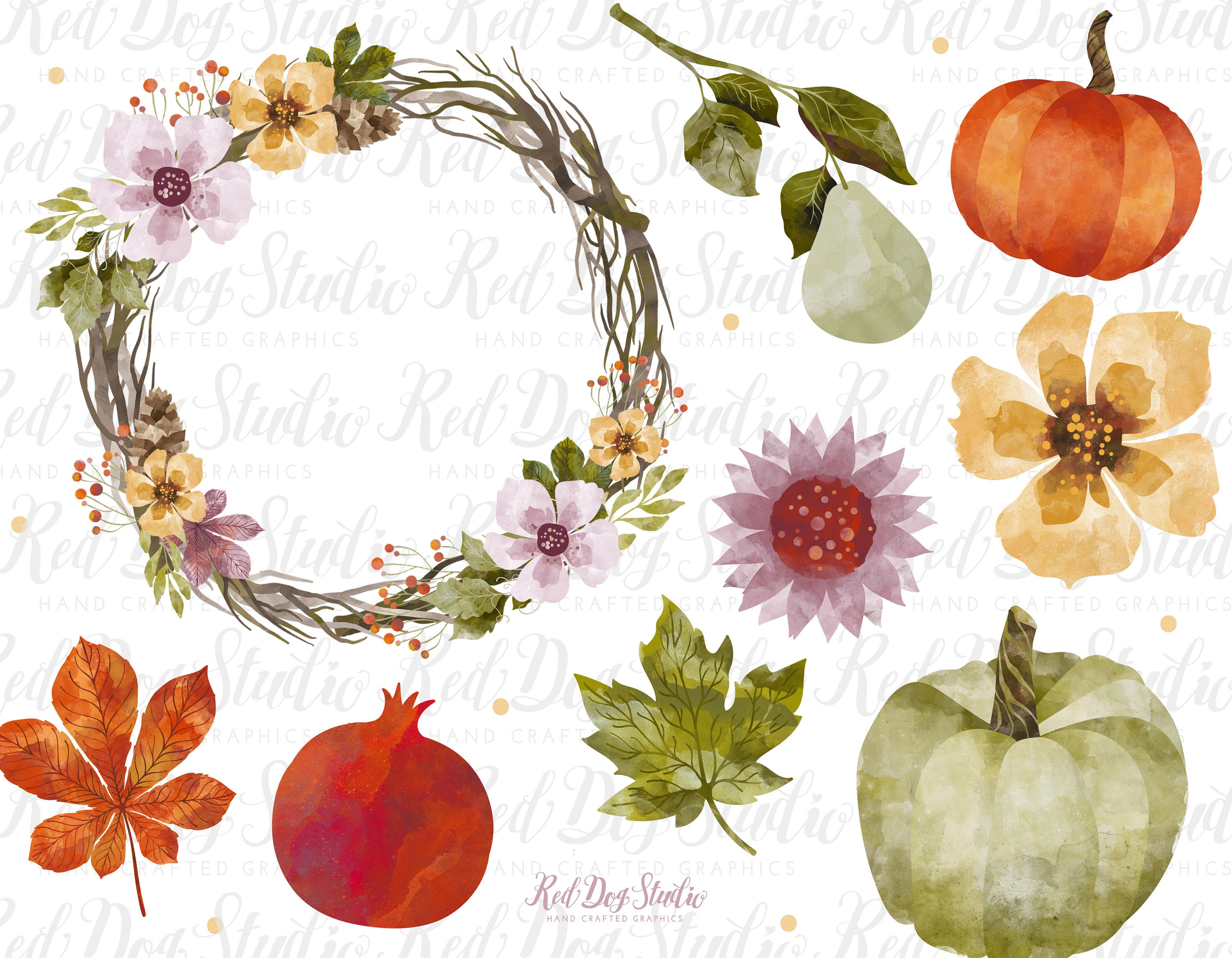 Autumn Harvest Clipart Illustrations Watercolor Pumpkin Clip - Etsy