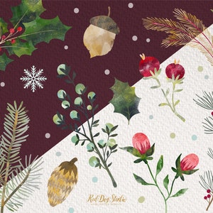 Winter Greenery Clipart, Watercolor Christmas Clipart, Pinecone, Holly ...