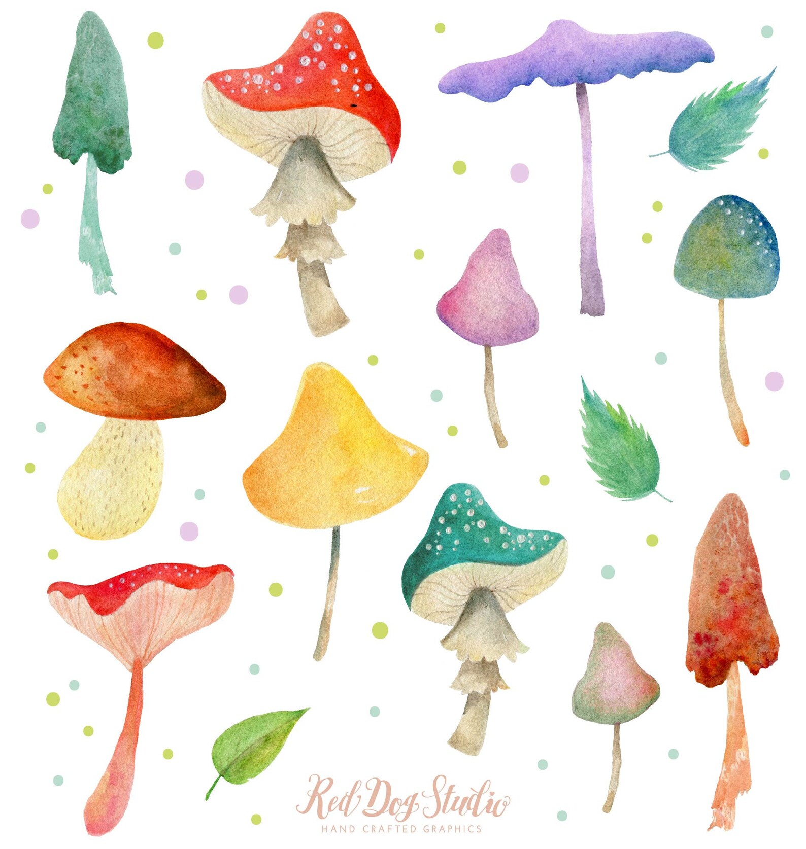 Watercolor Mushroom Clipart Set Watercolor Clip Art Painted - Etsy
