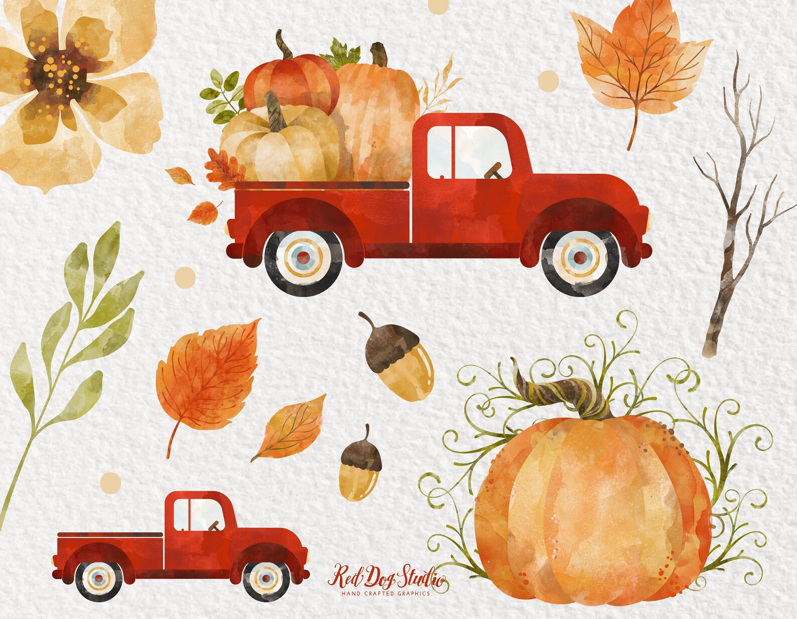 Autumn Pumpkin Clipart Illustrations Watercolor Pumpkin Clip - Etsy