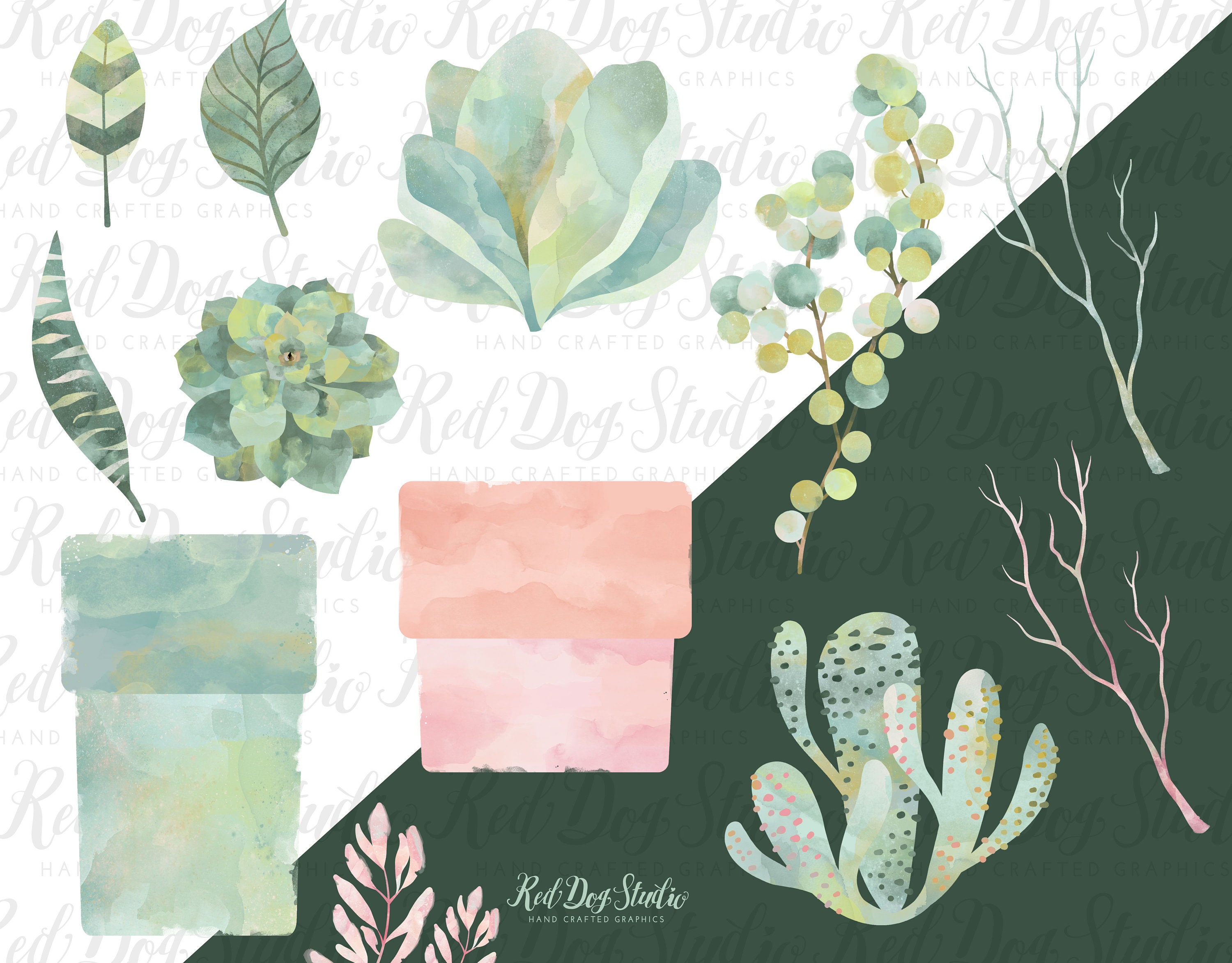 Watercolor Succulent Clip Art Images Cactus Clipart Design | Etsy