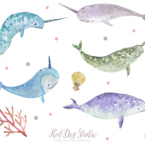 Watercolor Narwhal Clipart Images, Hand Painted Narwhal Art ...