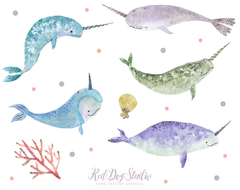 Watercolor Narwhal Clipart Images Hand Painted Narwhal Art - Etsy