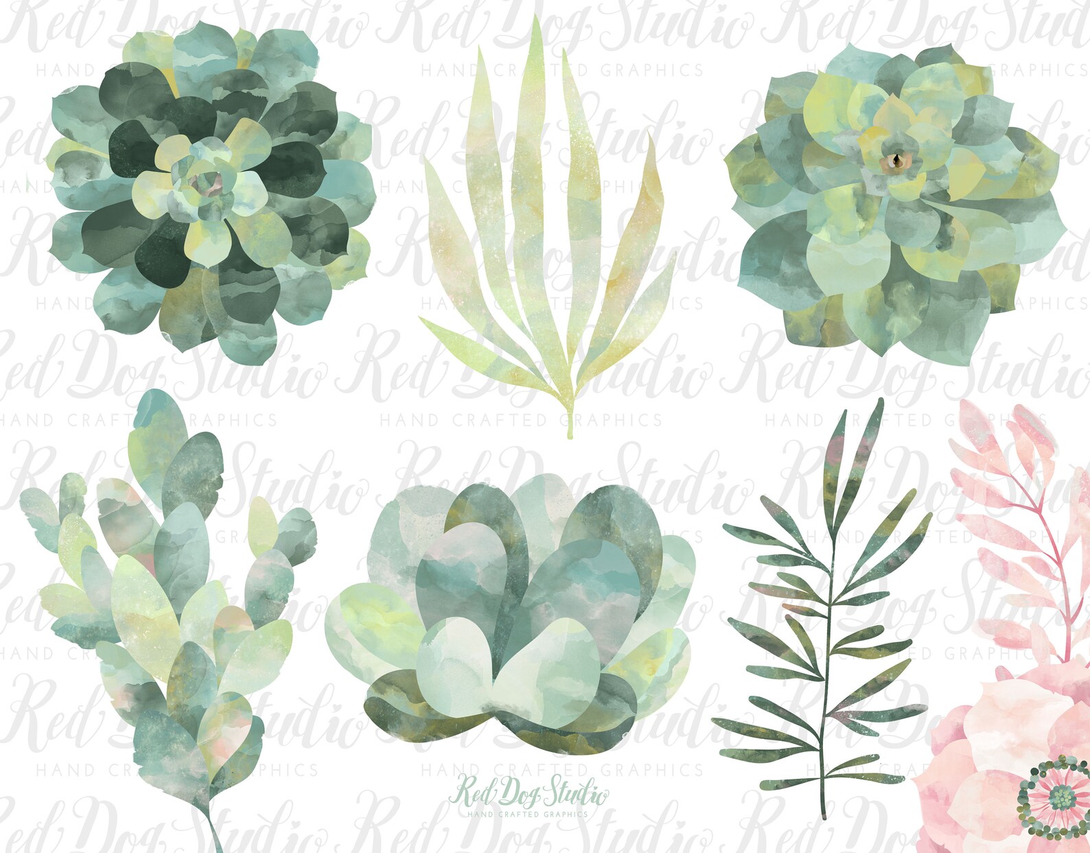 Watercolor Succulent Clip Art Images Cactus Clipart Design - Etsy