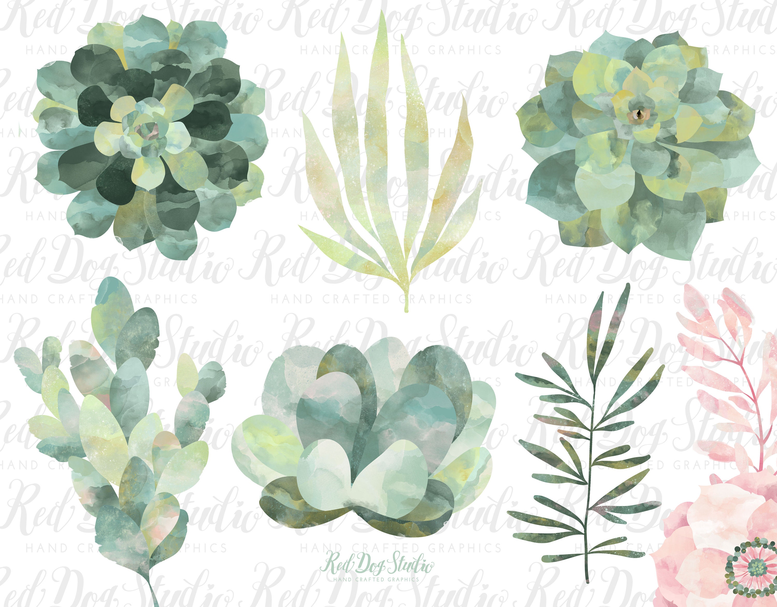 Watercolor Succulent Clip Art Images Cactus Clipart Design | Etsy