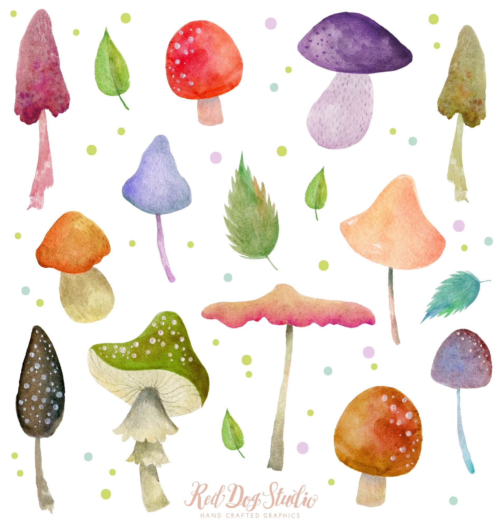 Watercolor Mushroom Clipart Set, Watercolor Clip Art, Painted Mushrooms ...