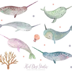 Watercolor Narwhal Clipart Images, Hand Painted Narwhal Art Illustrations, Watercolor Whales ...