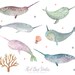 Watercolor Narwhal Clipart Images, Hand Painted Narwhal Art ...