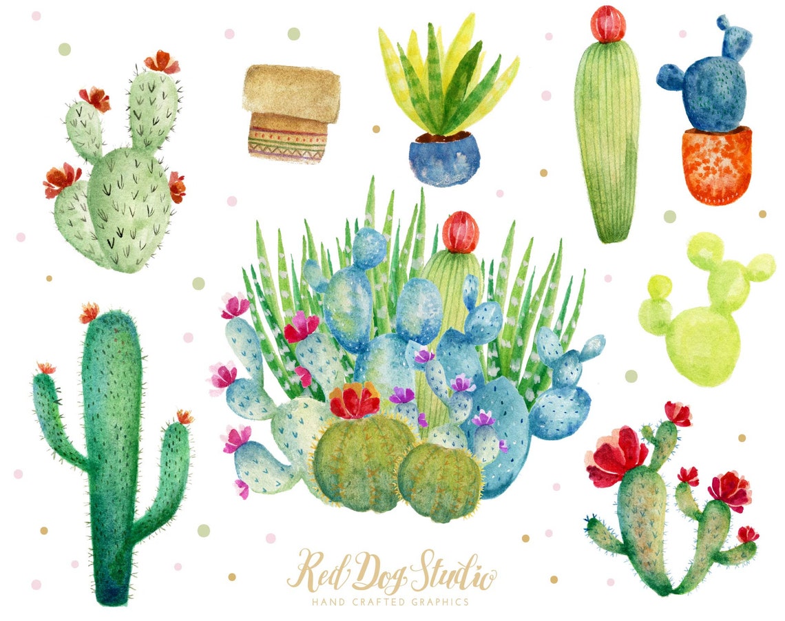 Watercolor Cactus Clipart Set Hand Painted Cactus Clip Art | Etsy