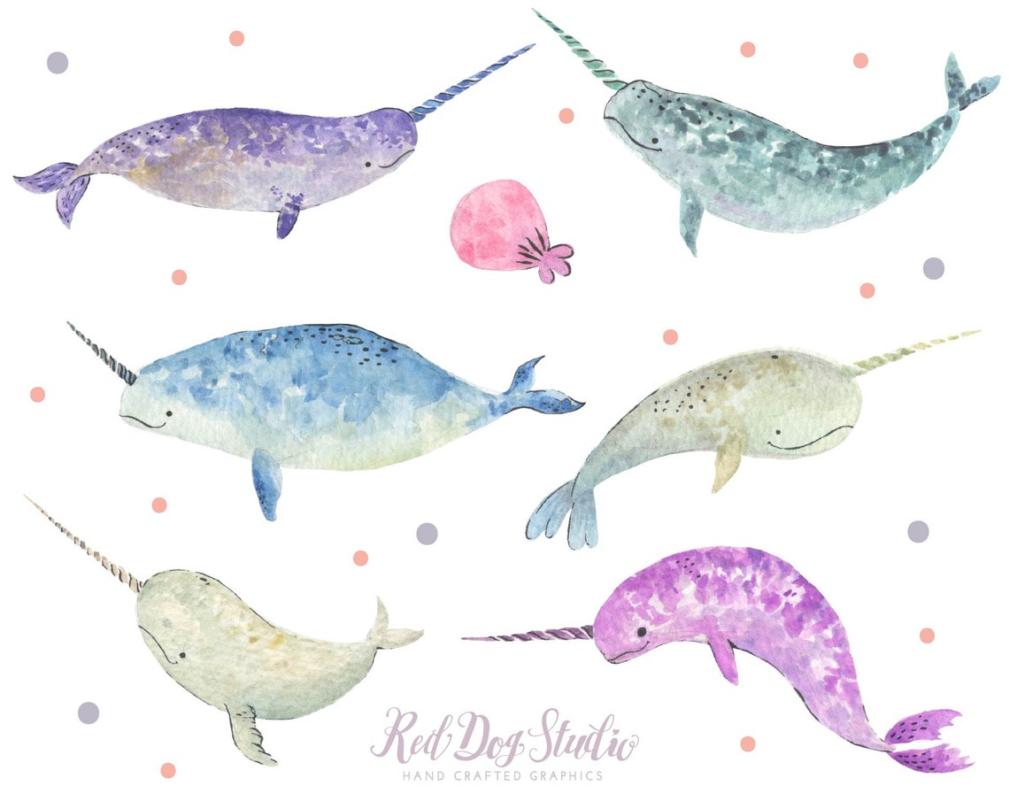 Watercolor Narwhal Clipart Images Hand Painted Narwhal Art - Etsy