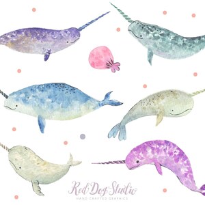 Watercolor Narwhal Clipart Images, Hand Painted Narwhal Art ...