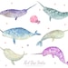 Watercolor Narwhal Clipart Images, Hand Painted Narwhal Art ...