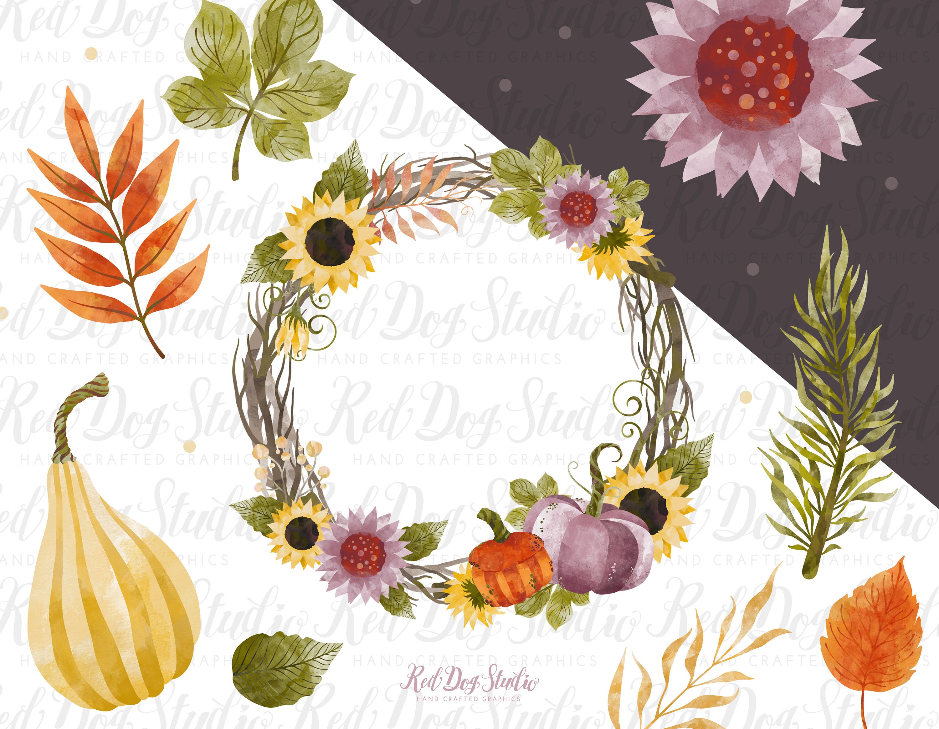 Autumn Harvest Clipart Illustrations Watercolor Pumpkin Clip - Etsy