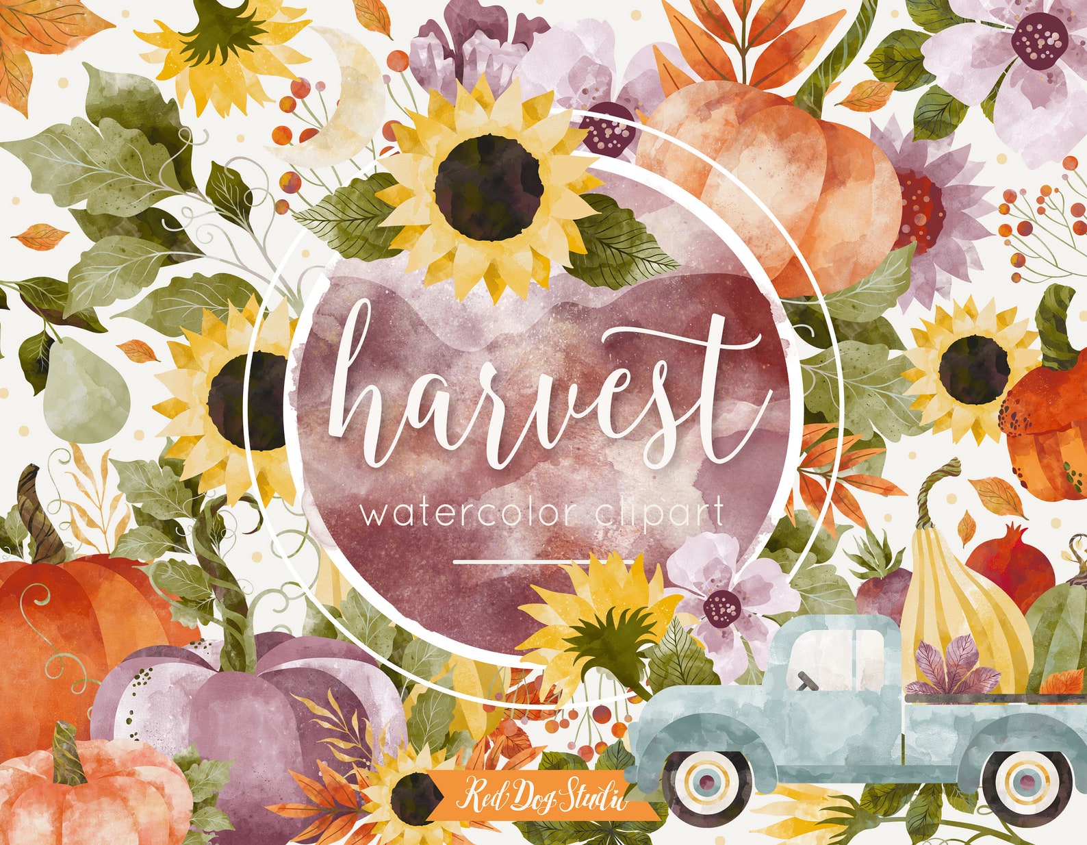 Autumn Harvest Clipart Illustrations Watercolor Pumpkin Clip - Etsy
