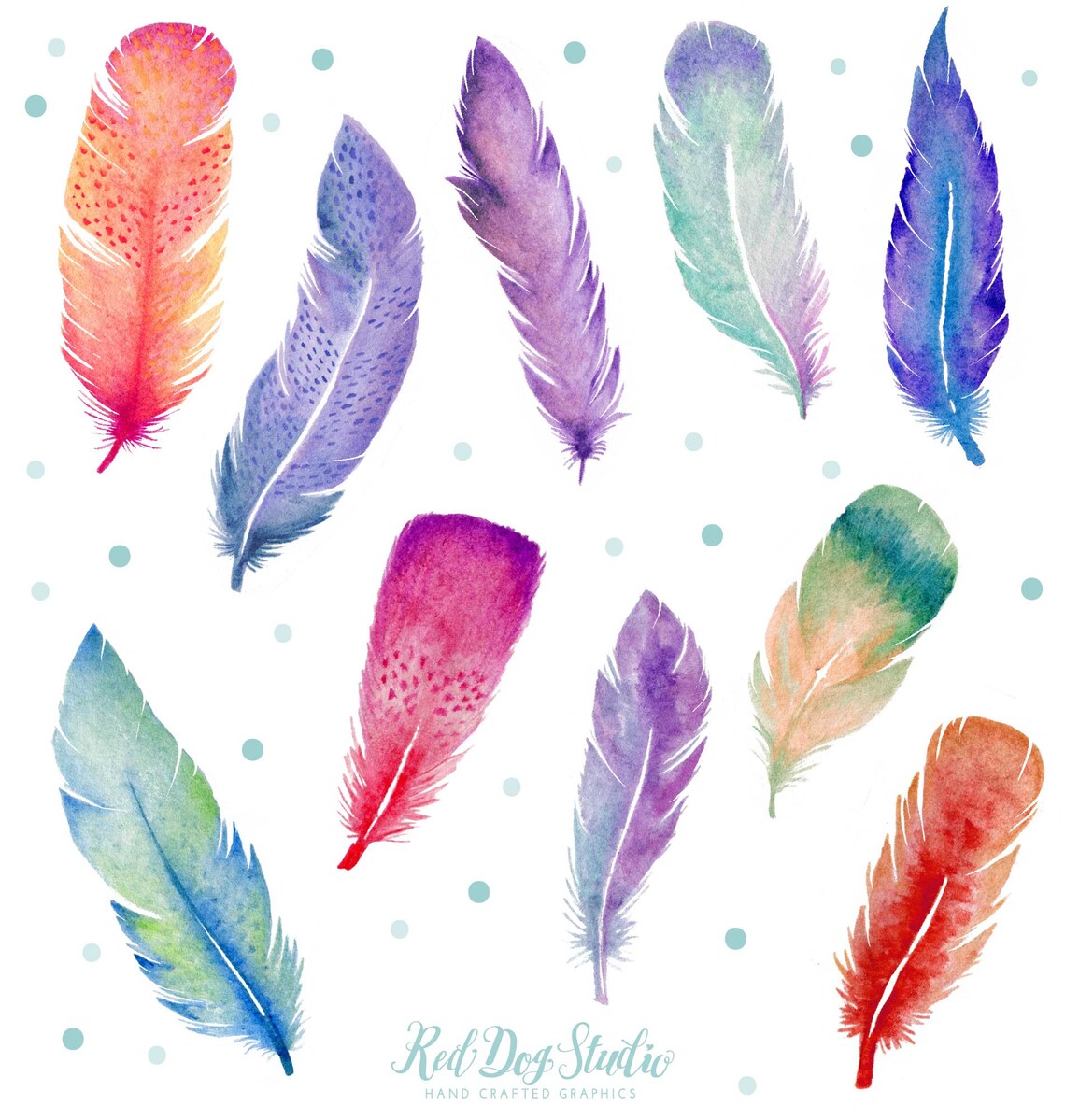 Watercolor Feather Graphics Digital Feather Clipart - Etsy Australia