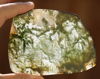 Montana Moss Agate Slab - Etsy