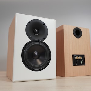 Handmade Active Hifi Speakers C-sharp - Etsy