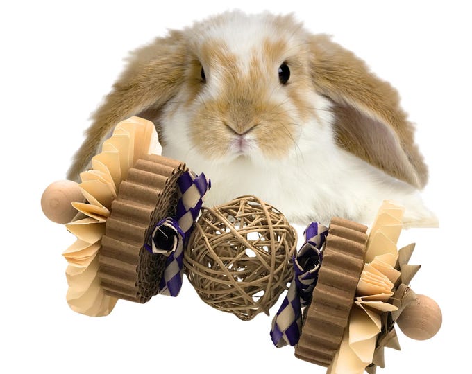 Dumbbell for Small Rodents I Rabbit I Wooden Toy I Toy for Small ...