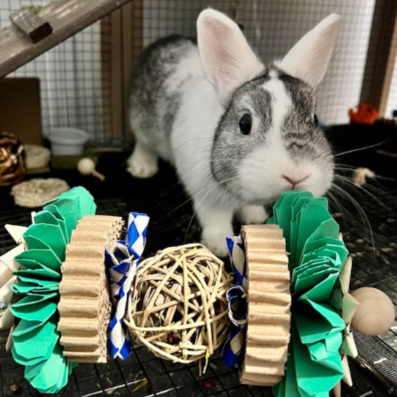 Rabbit Chew Toys Birthday - Etsy