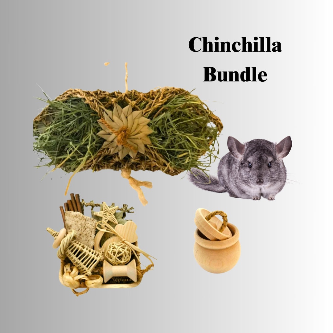 Chinchilla Gift Bundle Toys for Chinchillas Natural Enrichment for ...