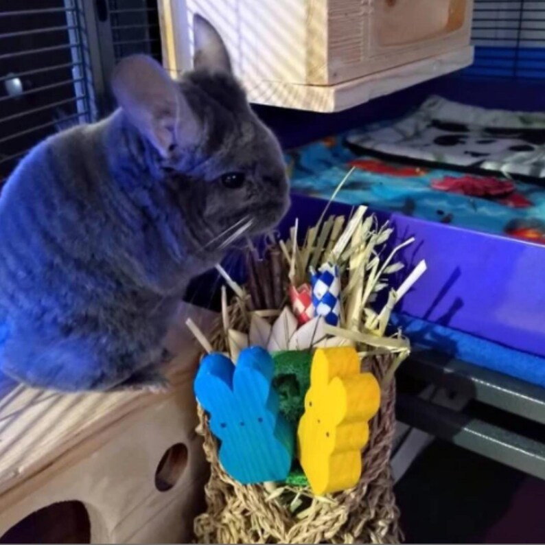 Rabbit Toys Hanging Easter Basket Toy Set Forage Toy Set - Etsy