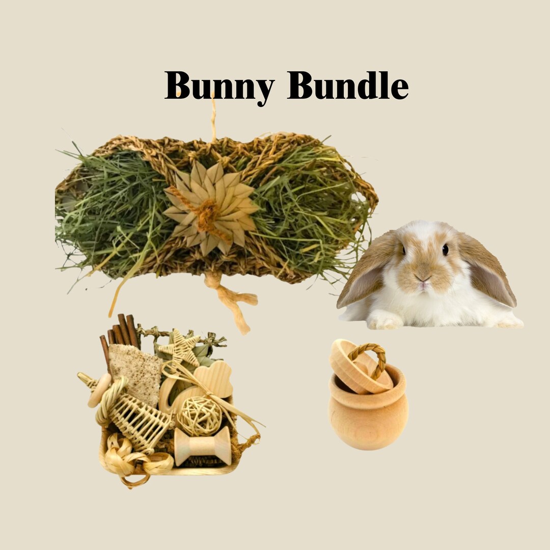 Bunny Gift Bundle Rabbit Toys for Rabbits Natural Bunny Toys Enrichment ...