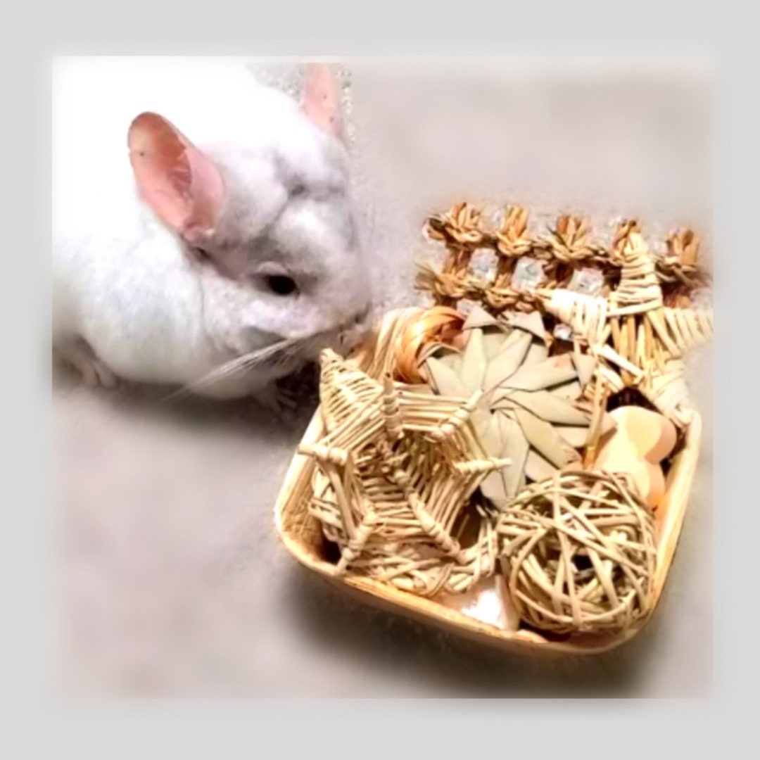 Chinchilla Toys Natural Chews Gift Basket Organic Natural Chews Gift ...