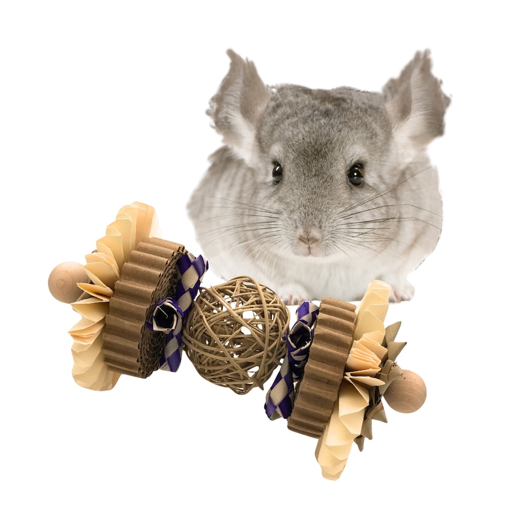 Chinchilla Toys for Chinchillas Mini Shredder Guinea Pig Accessories ...