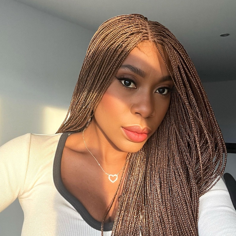 Lace Front Braided Wigs, Knotless Braids Wigs, Micro Braid Wig, Braided ...