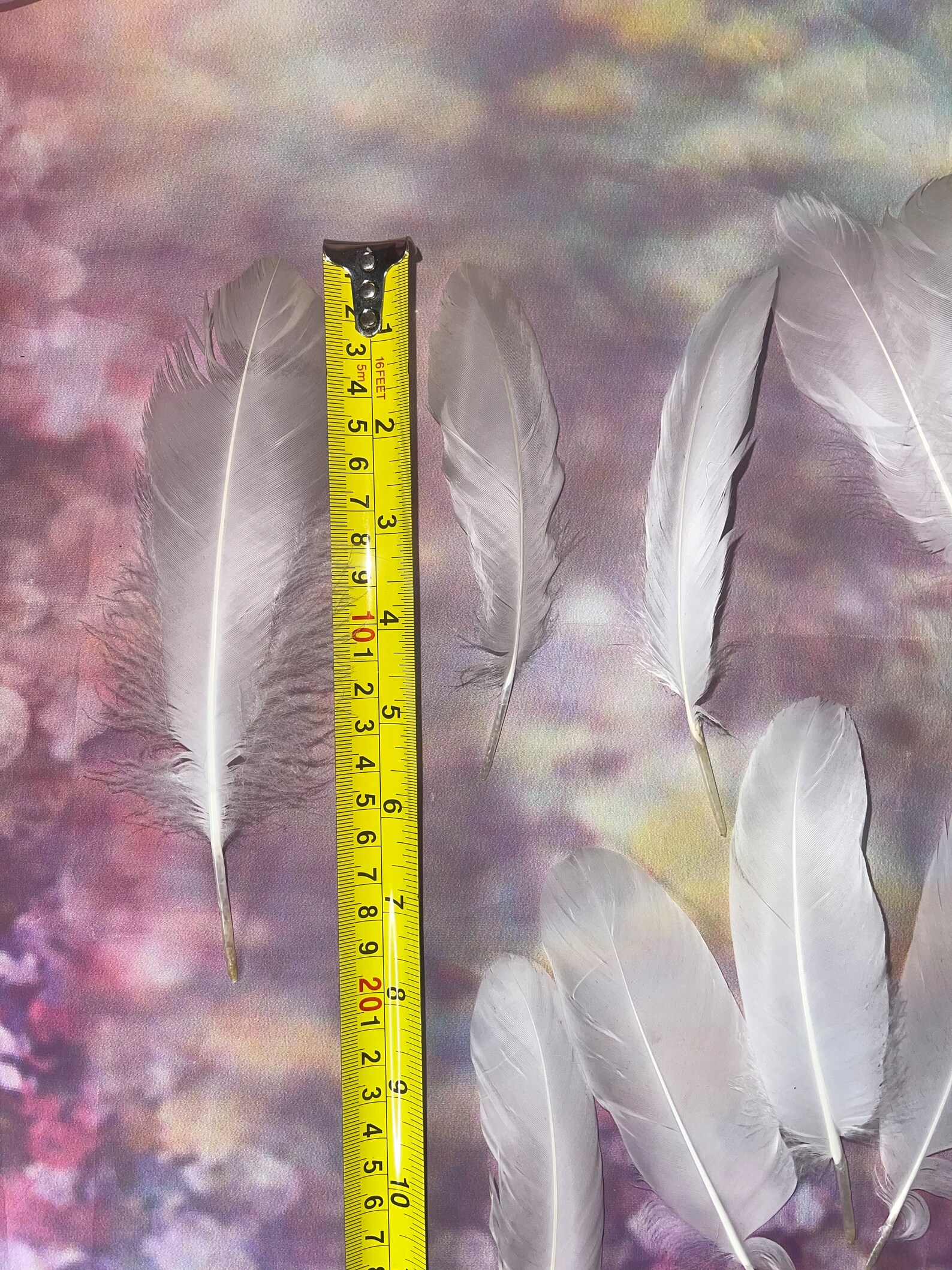 Three 11', Eight 9' Ten 4' and Set of Mix 28, 7' Foraged Feathers ...