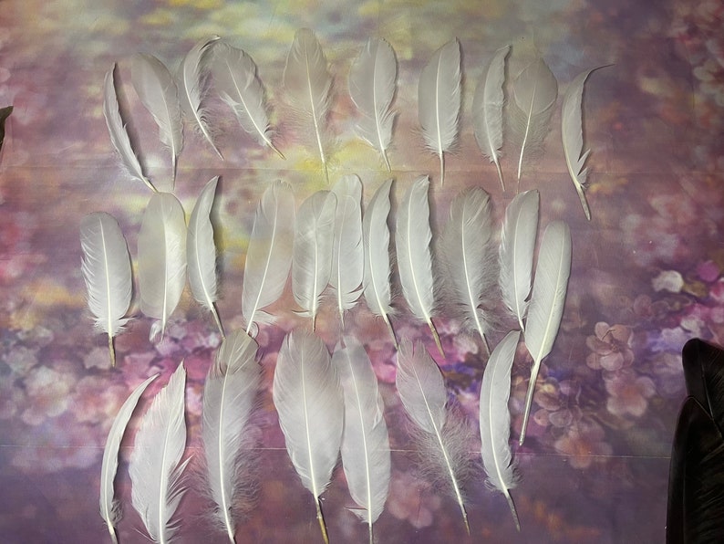 Three 11', Eight 9' Ten 4' and Set of Mix 28, 7' Foraged Feathers ...